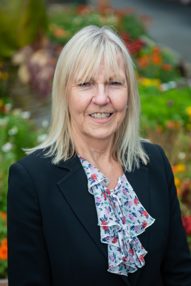 Audiology Audioligist Practice Wellington Paraparaumu Kapiti
